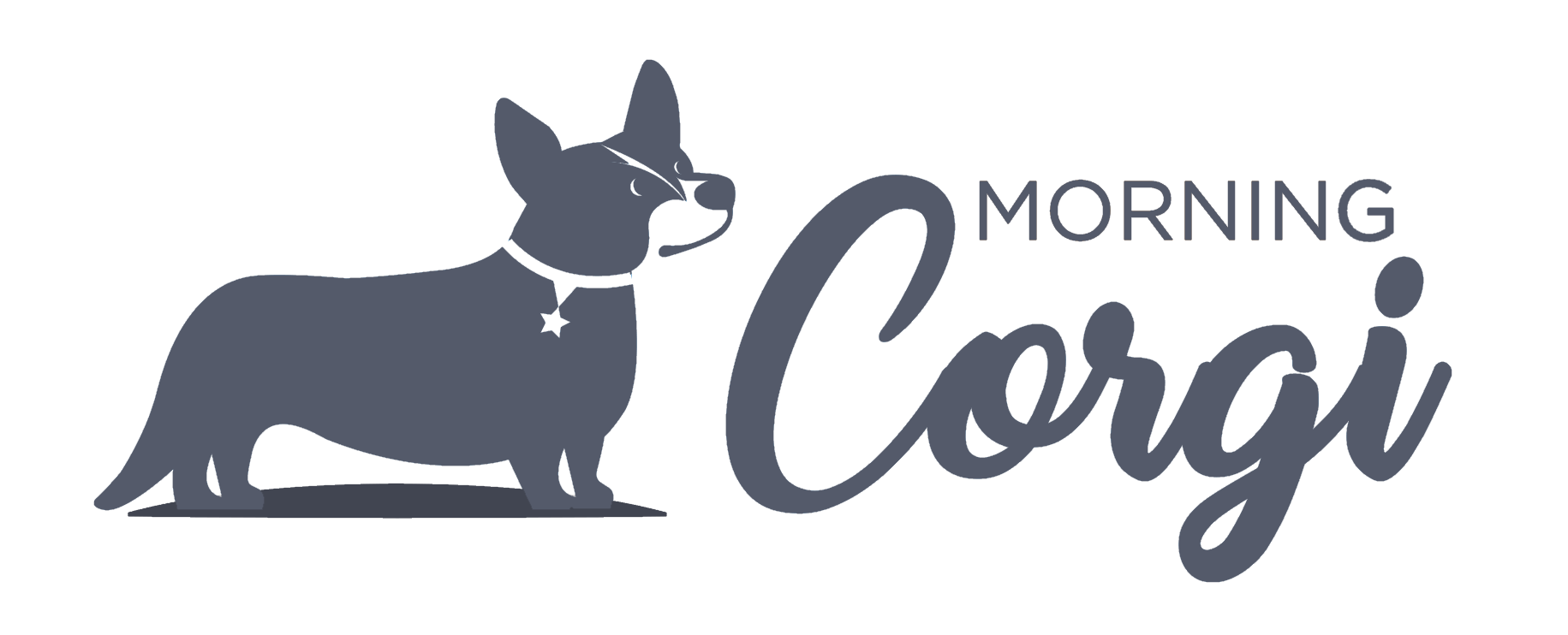 Morning Corgi